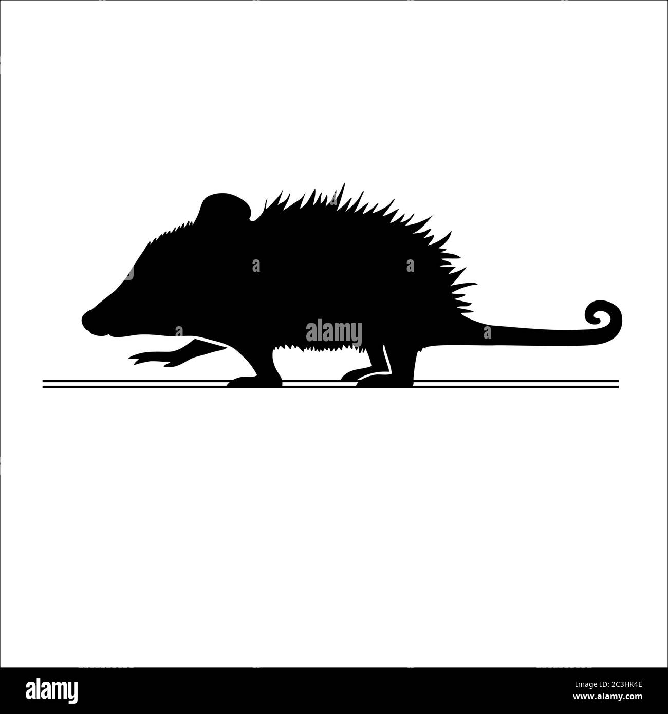 Opossum drawing hi-res stock photography and images - Alamy