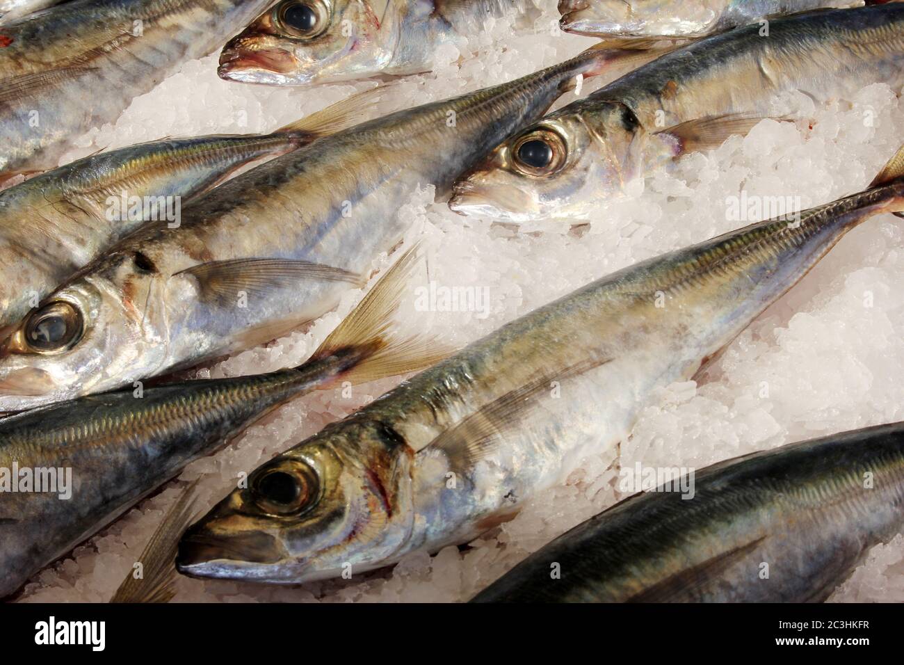 Freshwater fish foods hi-res stock photography and images - Alamy