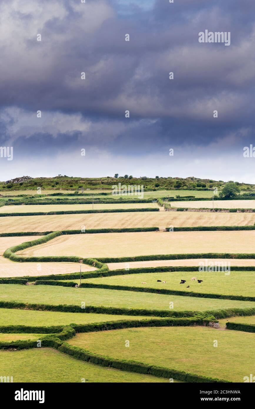 A patchwork of fields on Bodmin Moor in Cornwall Stock Photo - Alamy