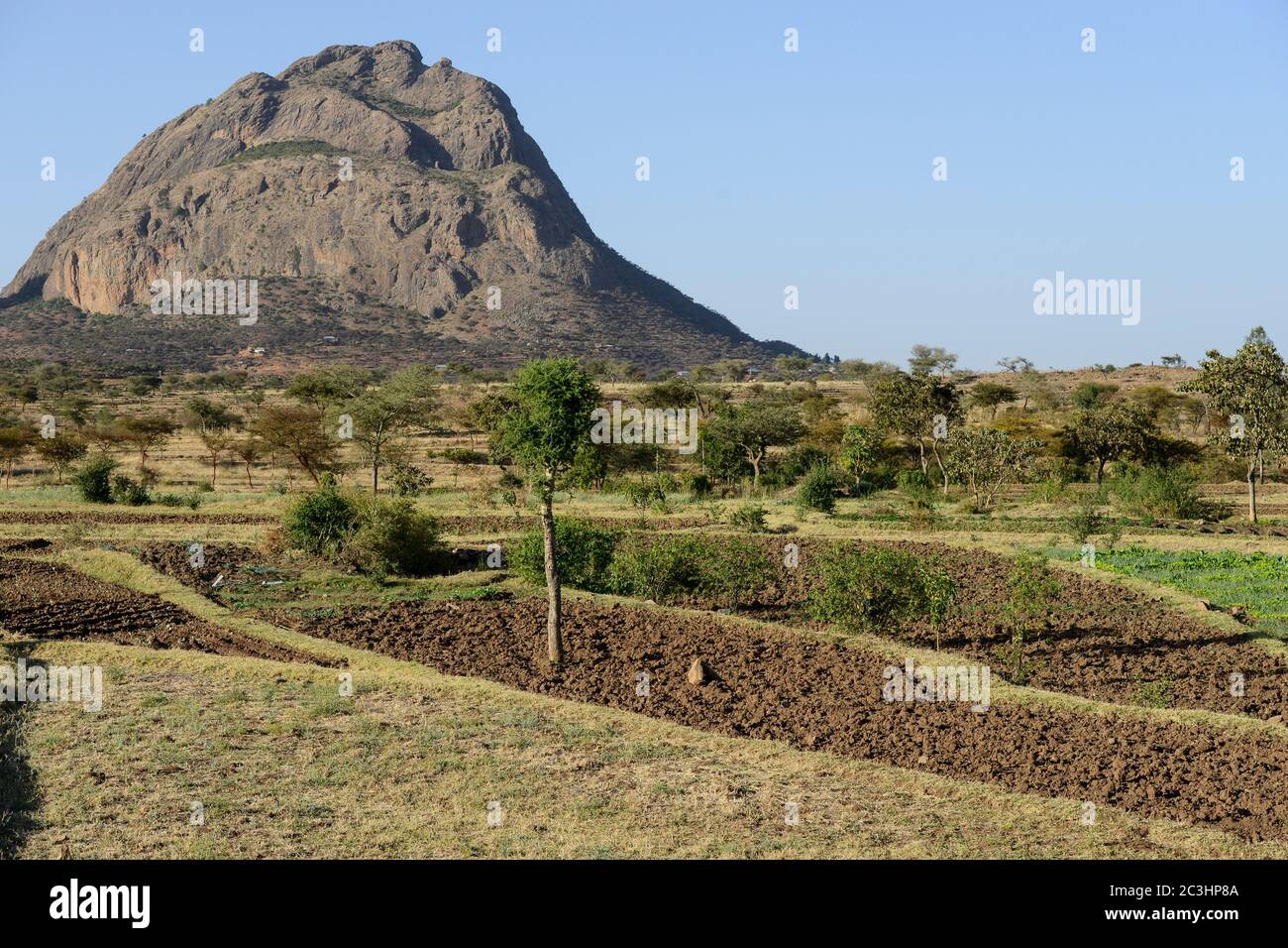 ETHIOPIA, Tigray, highland , Adua, Battle of Adwa was fought on 1 March ...