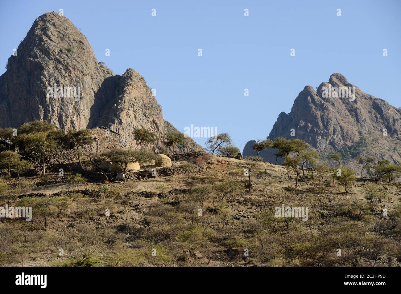 ETHIOPIA, Tigray, highland , Adua, Battle of Adwa was fought on 1 March ...