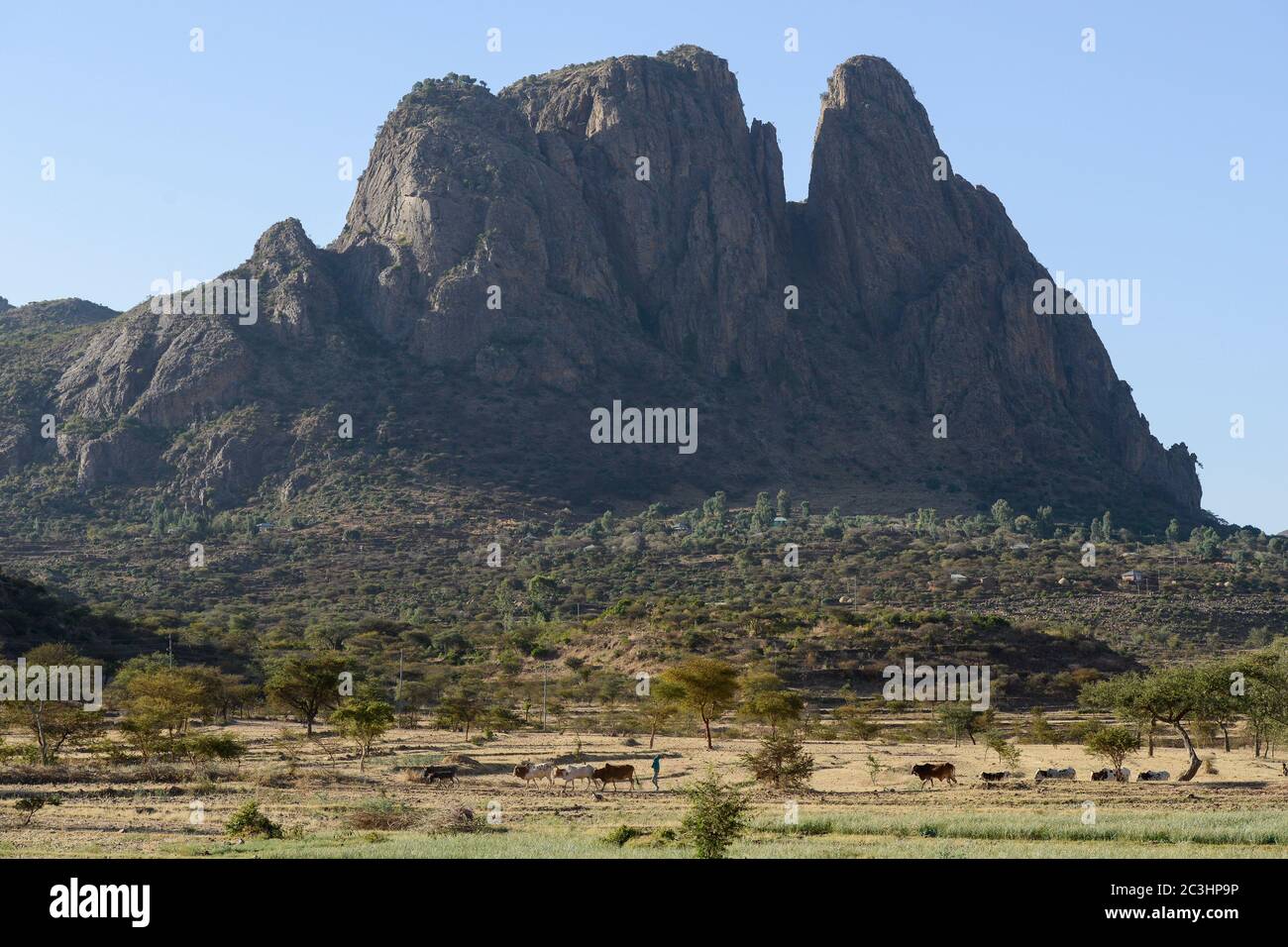 Battle of adwa hi-res stock photography and images - Alamy