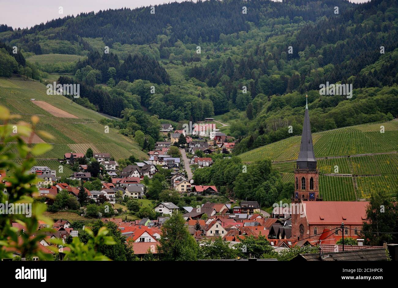 Beautiful view of a colorful landscape with a medieval castle in the ...