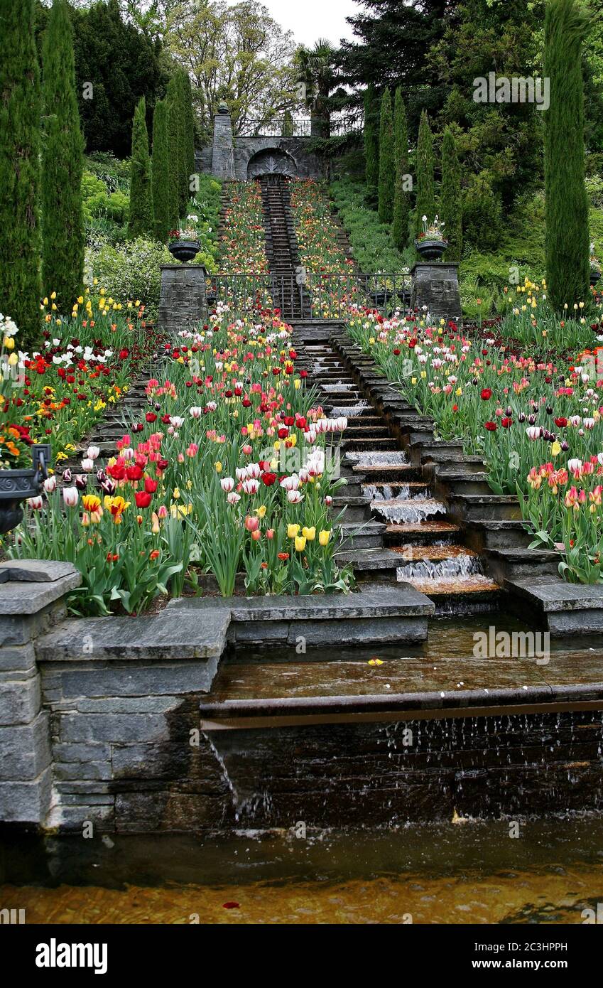 Flower garden and a staircase with a waterfall on the island of Mainau ...