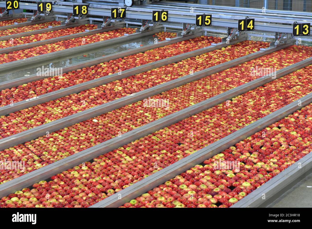 The assembly line with apples hi-res stock photography and images - Alamy