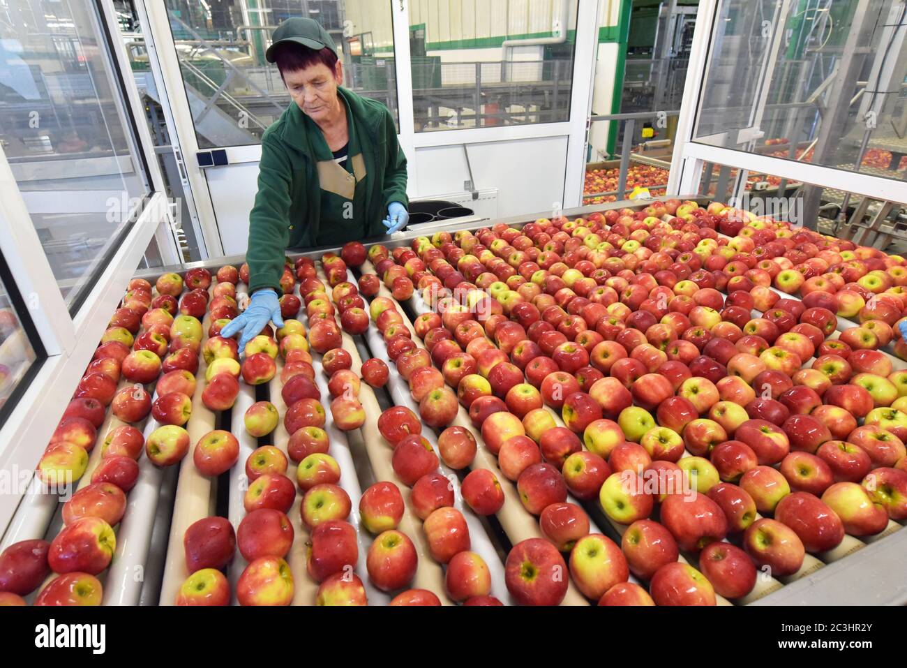 food factory: assembly line with apples and workers Stock Photo - Alamy