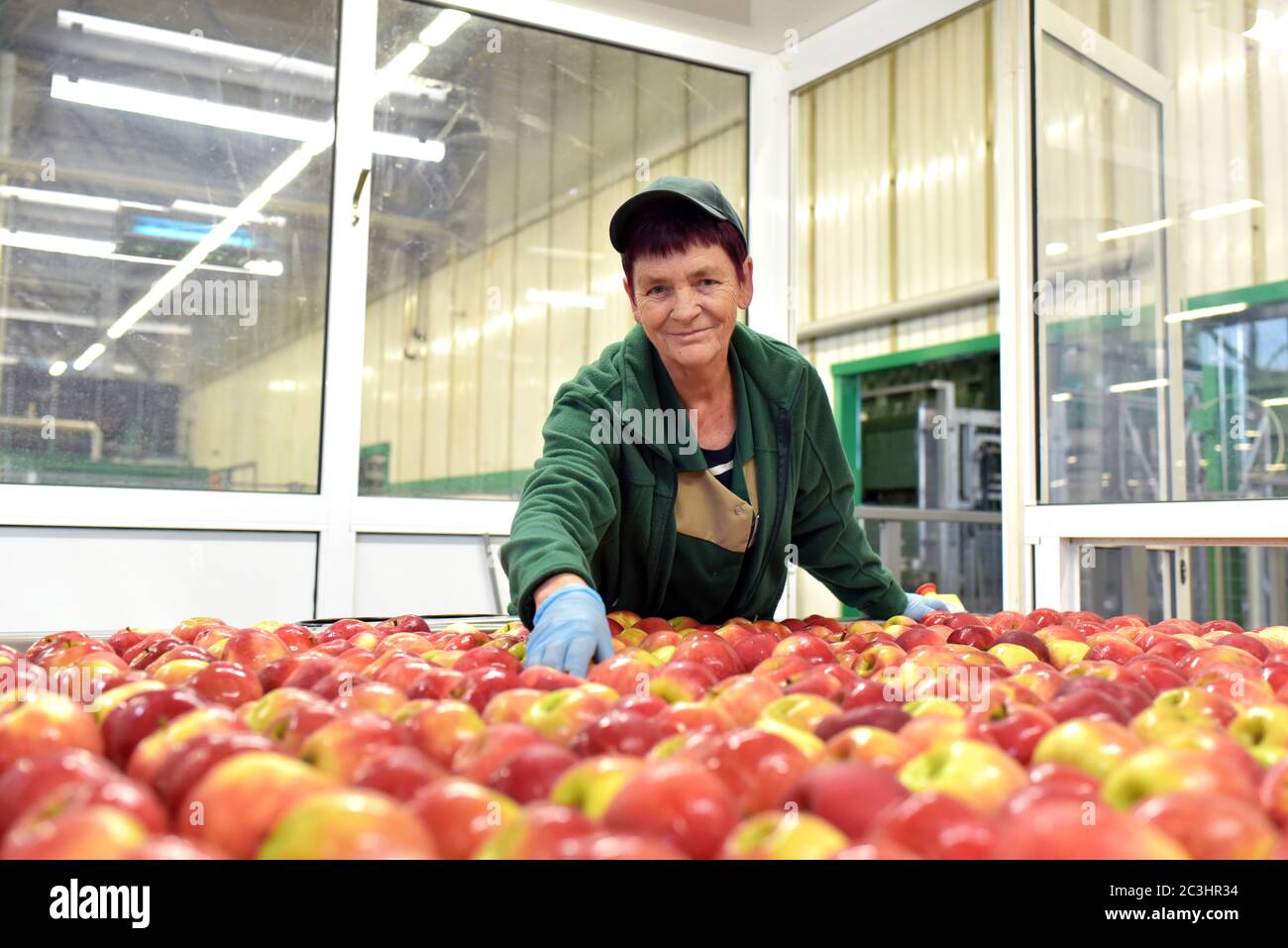food factory: assembly line with apples and workers Stock Photo - Alamy