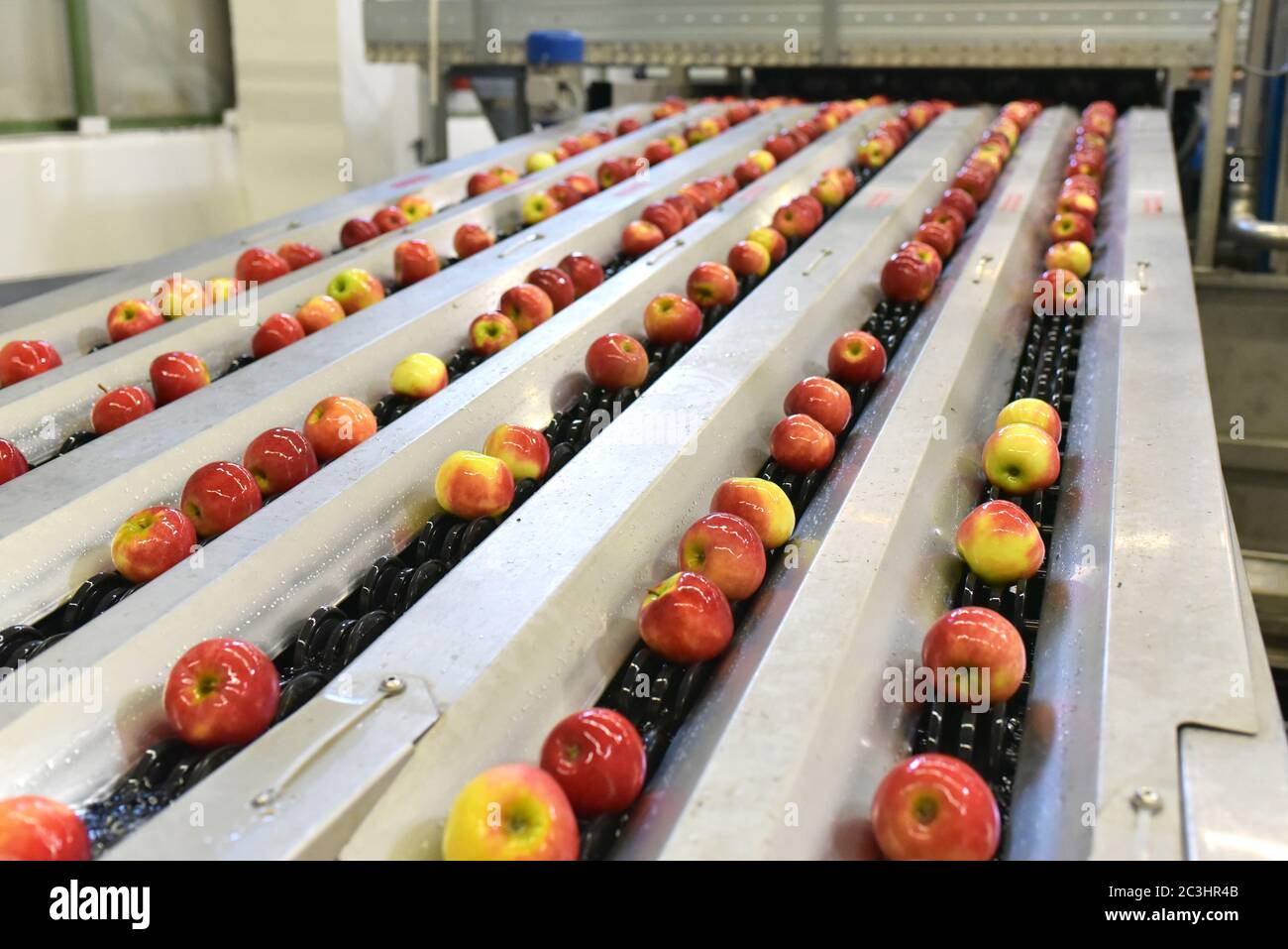 food factory: assembly line with apples and workers Stock Photo - Alamy