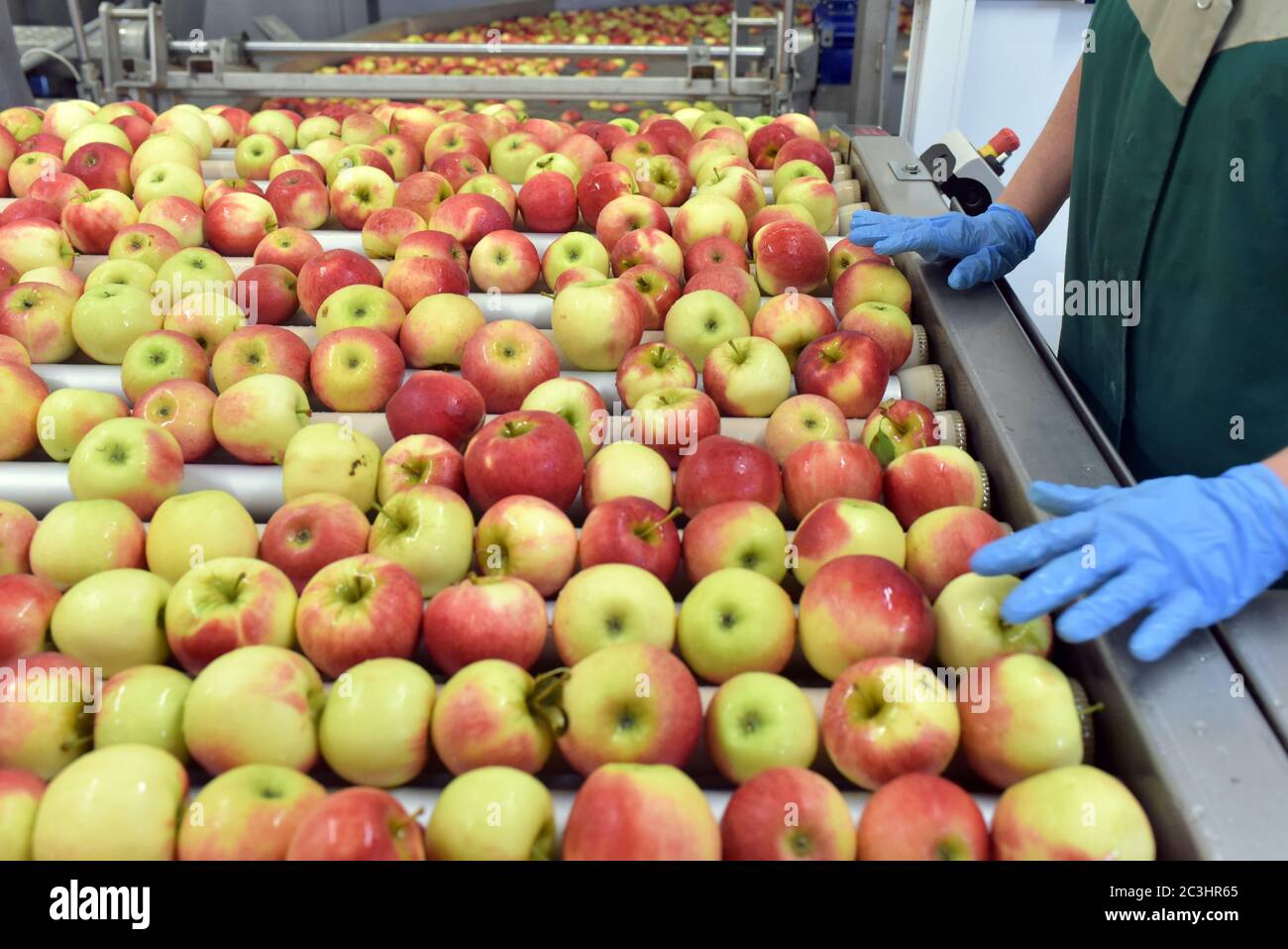 food factory: assembly line with apples and workers Stock Photo - Alamy