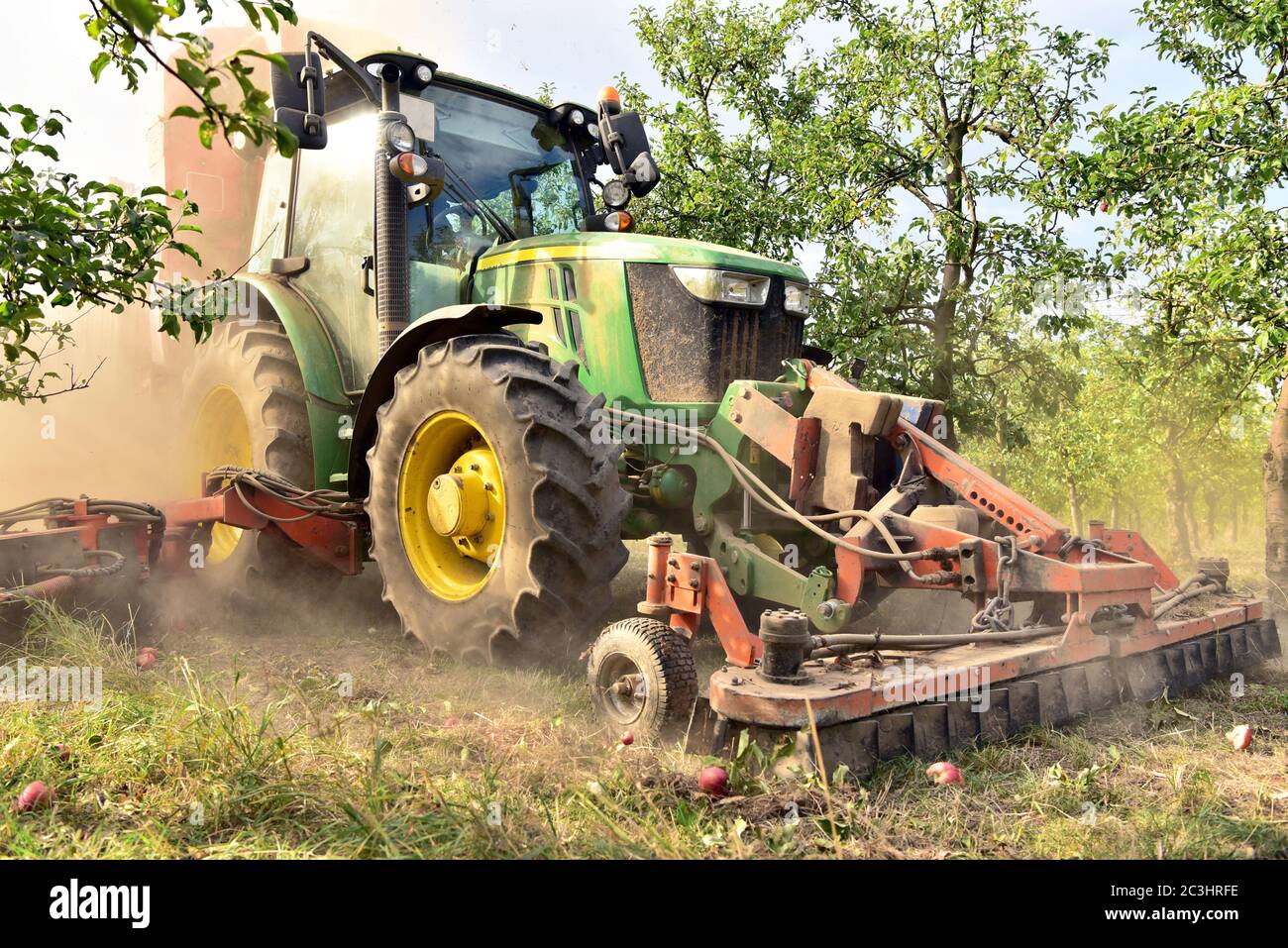 modern apple harvest with a harvesting machine on a plantation with ...
