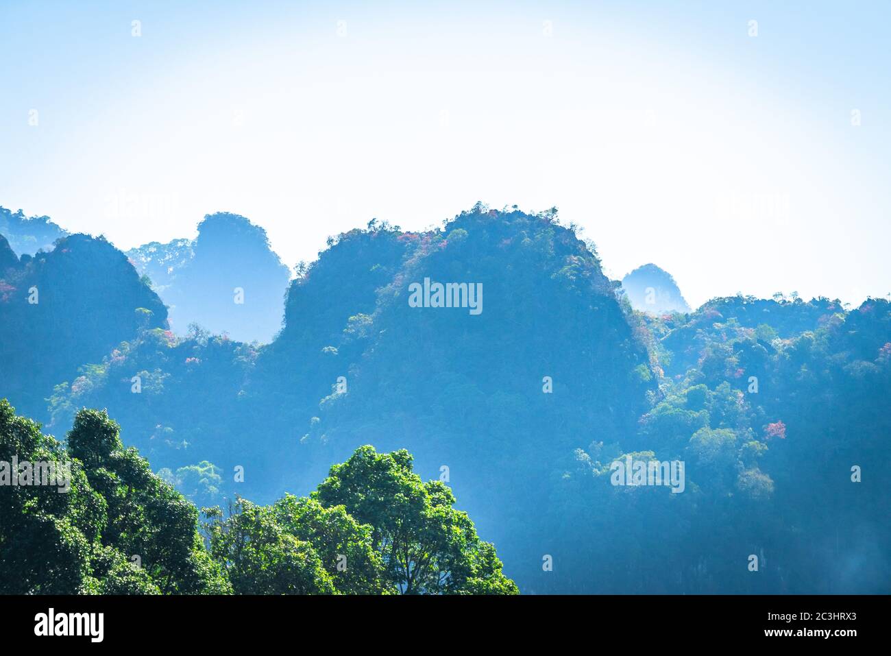 Khao sok nationalpark hi-res stock photography and images - Alamy