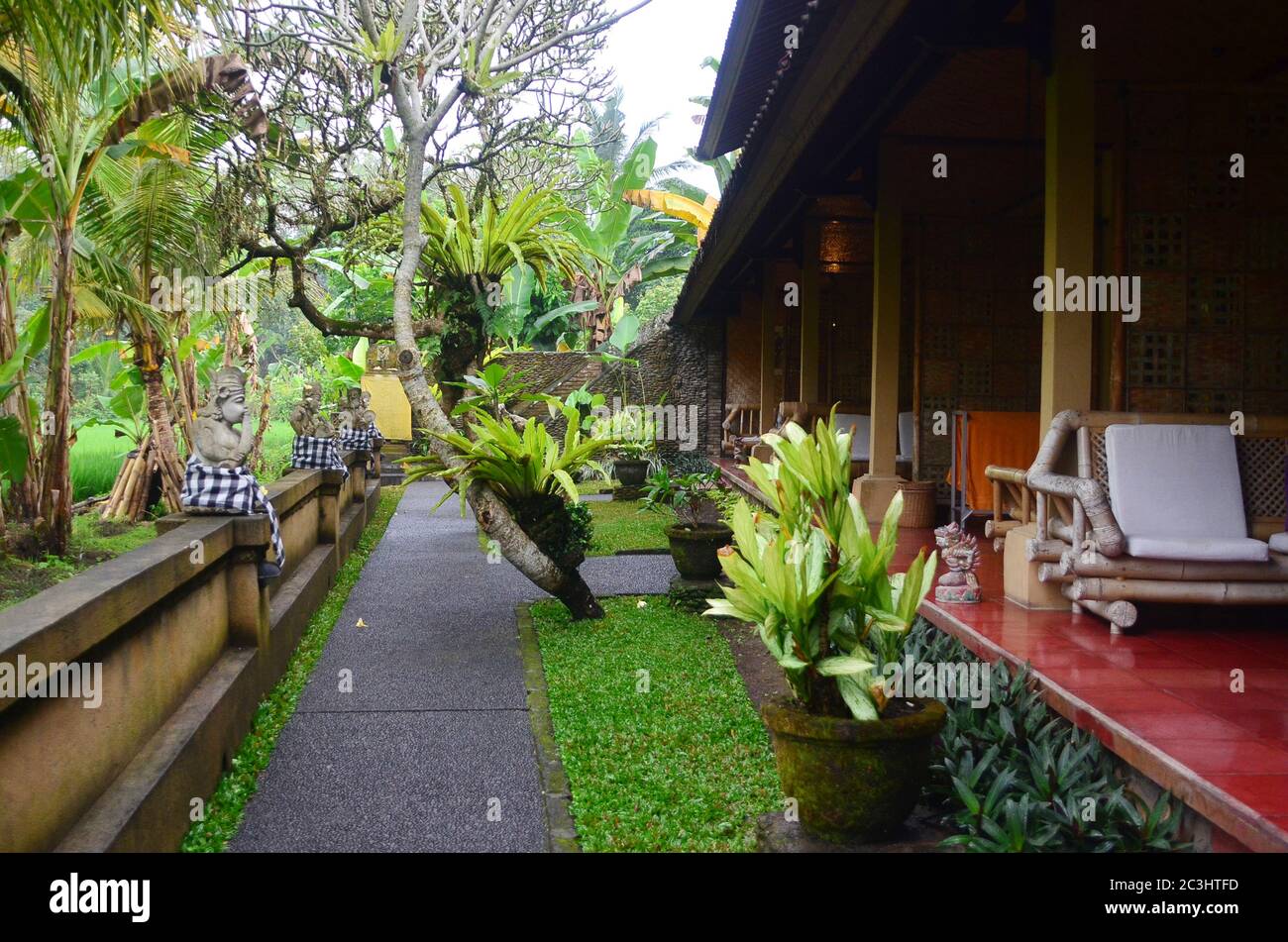 Beautiful balinese backyard that next to the paddy field Stock Photo ...