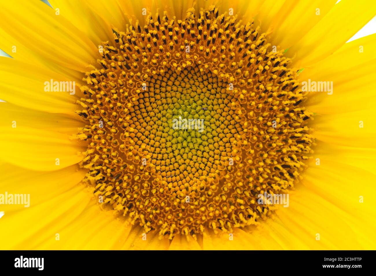 Fermats hi-res stock photography and images - Alamy