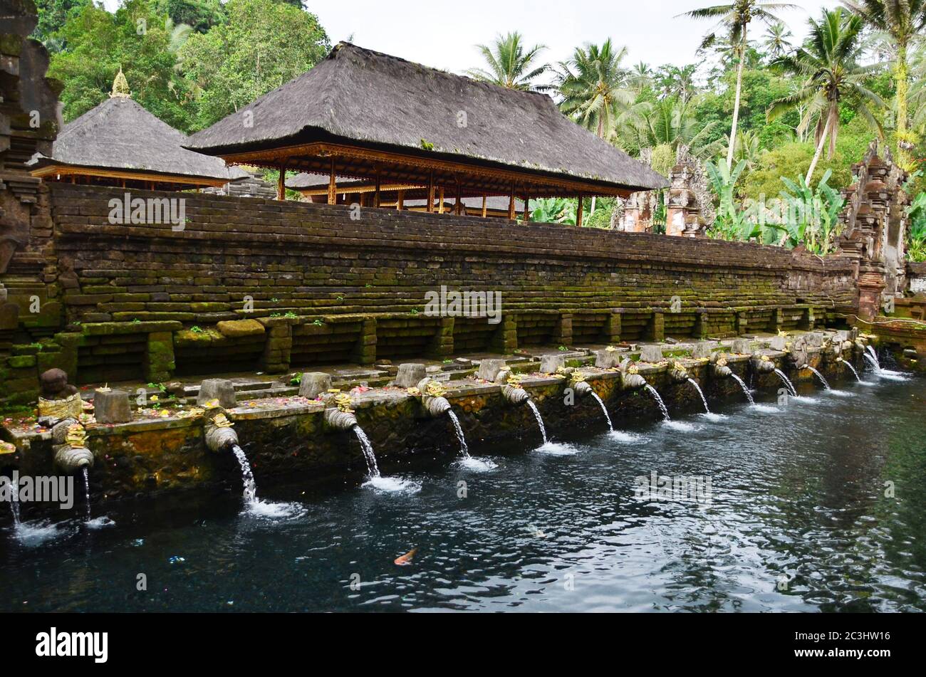 Holy spring water in temple pura Tirtha Empul in Tampak, one of Bali's ...