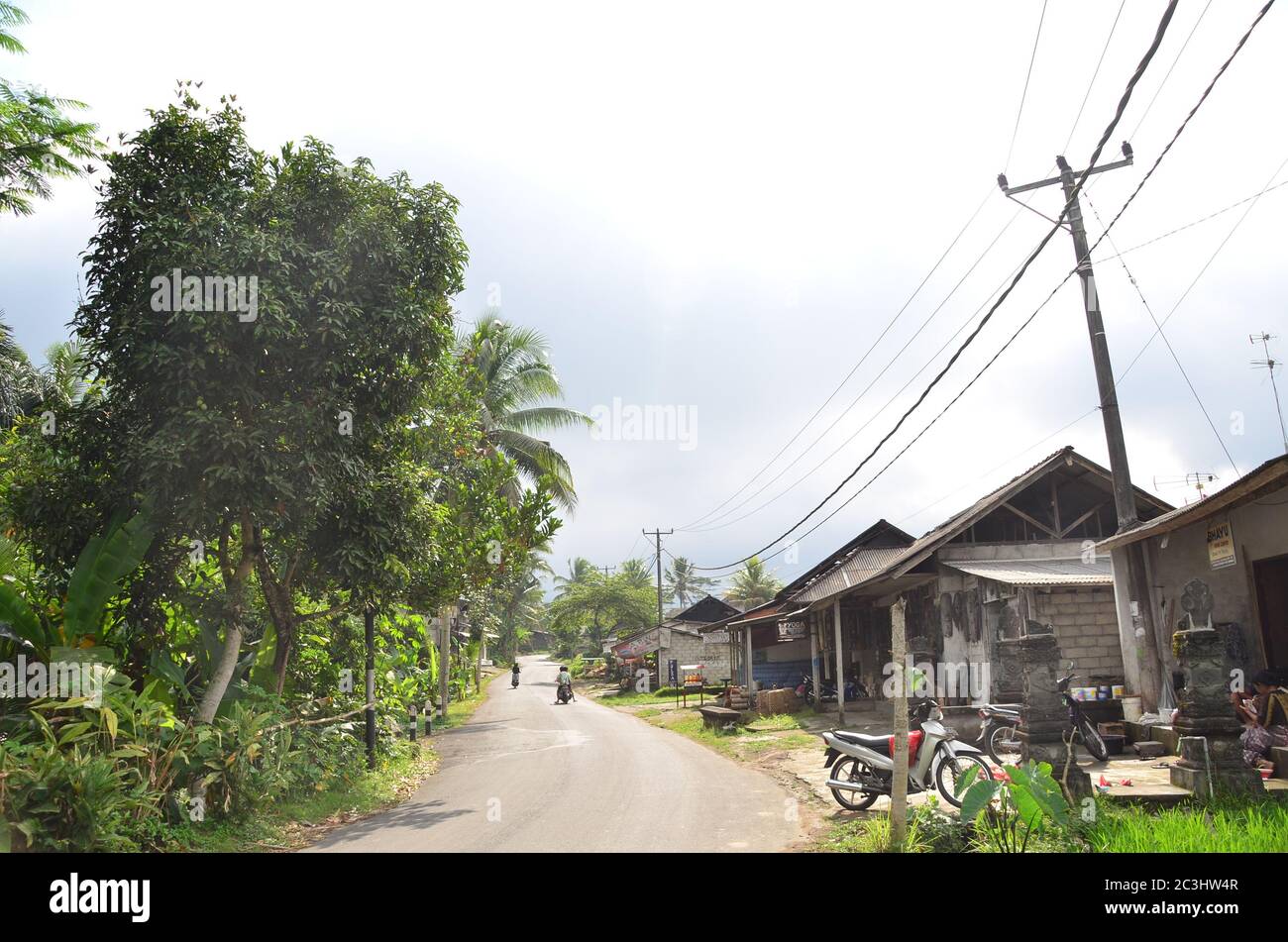 Local countryside road at Ubud, Indonesia with traditional houses along ...