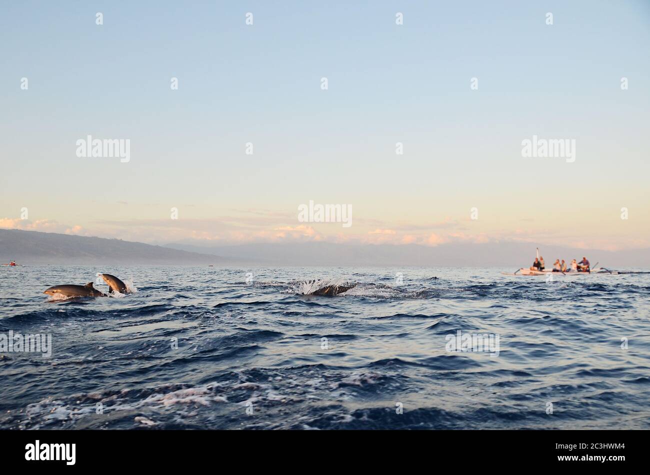 Dolphin watching during the sunrise time at Sanur, Bali. Lovina beach ...