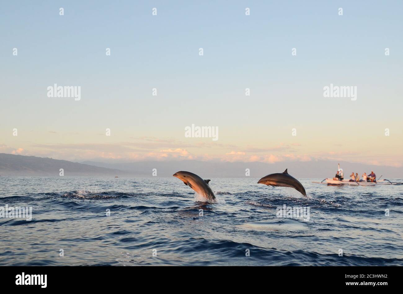 Dolphin watching during the sunrise time at Sanur, Bali. Lovina beach ...