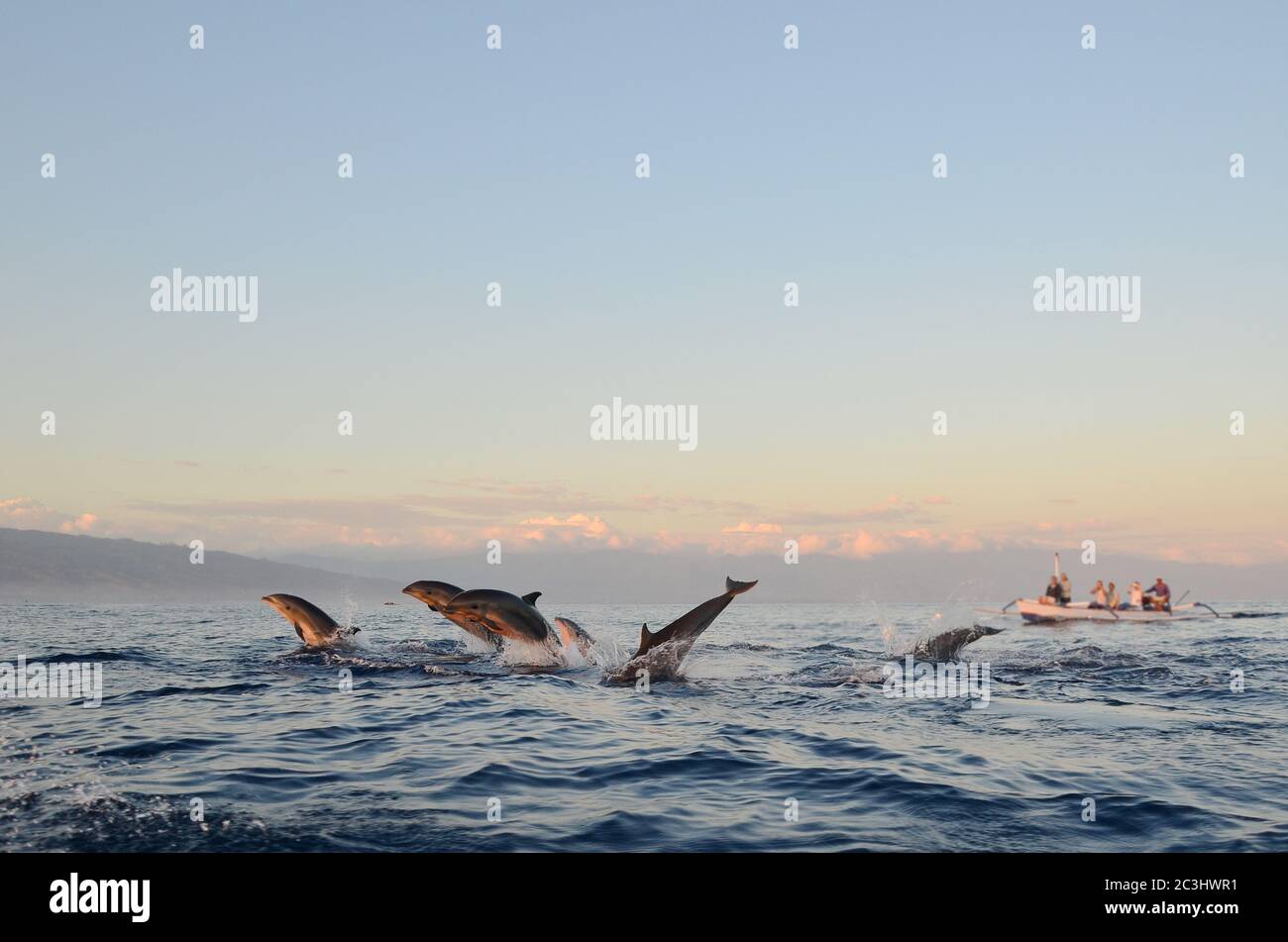 Dolphin watching during the sunrise time at Sanur, Bali. Lovina beach ...