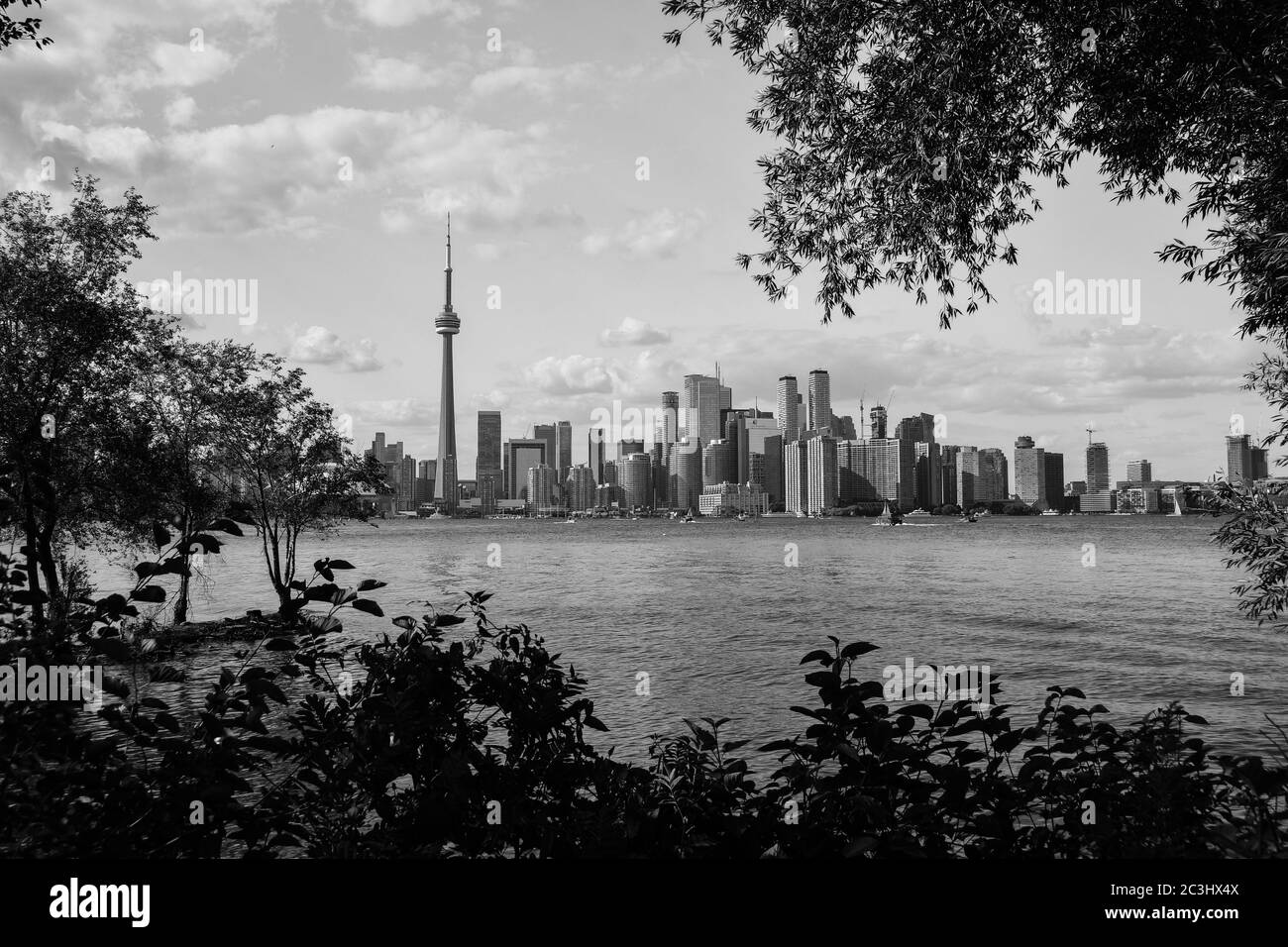 Toronto skyline from the island Stock Photo - Alamy