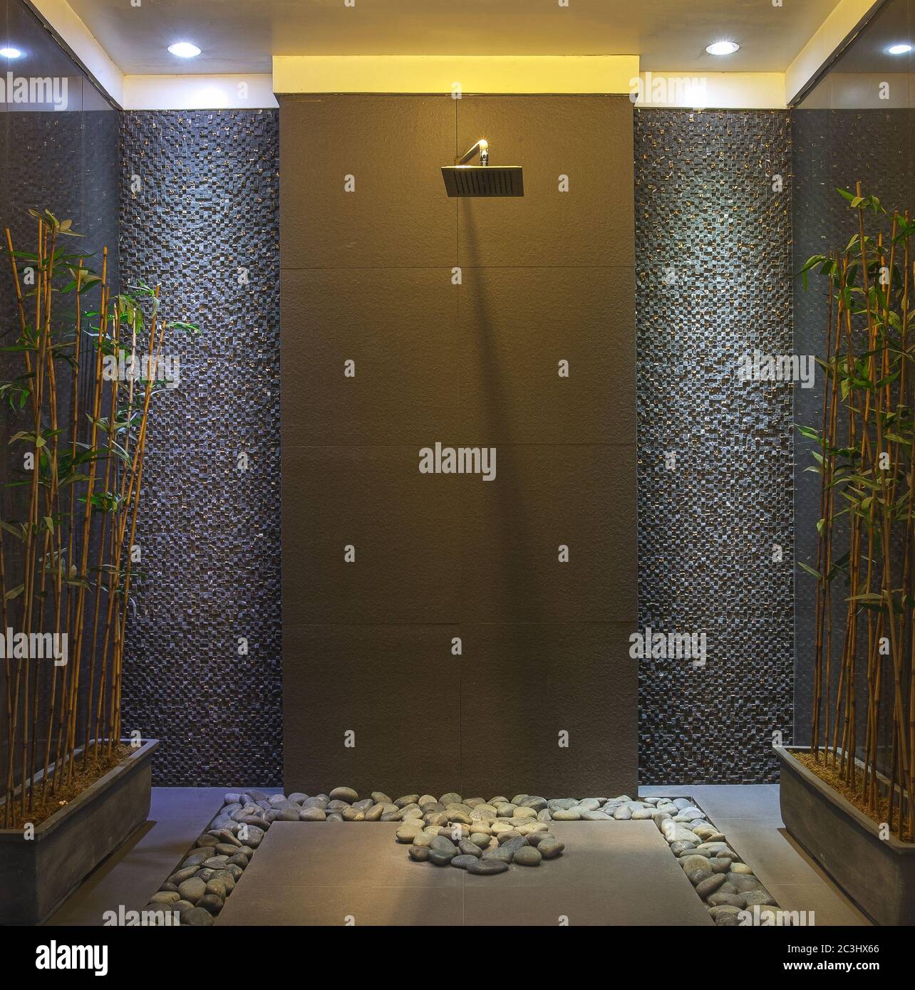 Nice and neat modern bathroom with beautiful decorations and tiles ...