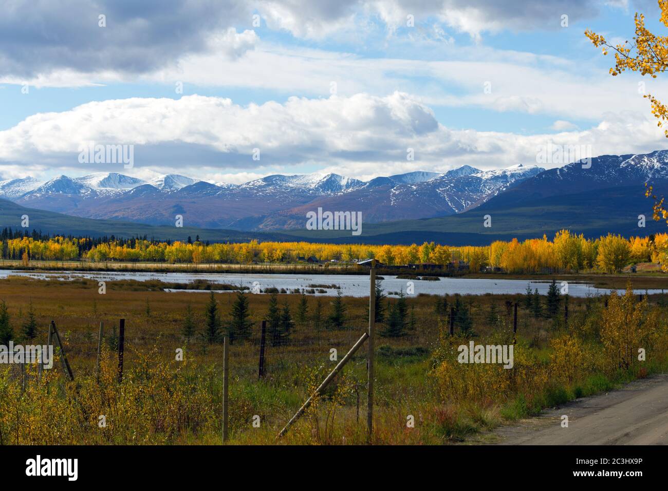 Autumn landscape at the Yukon Wildlife Preserve, located outside of ...