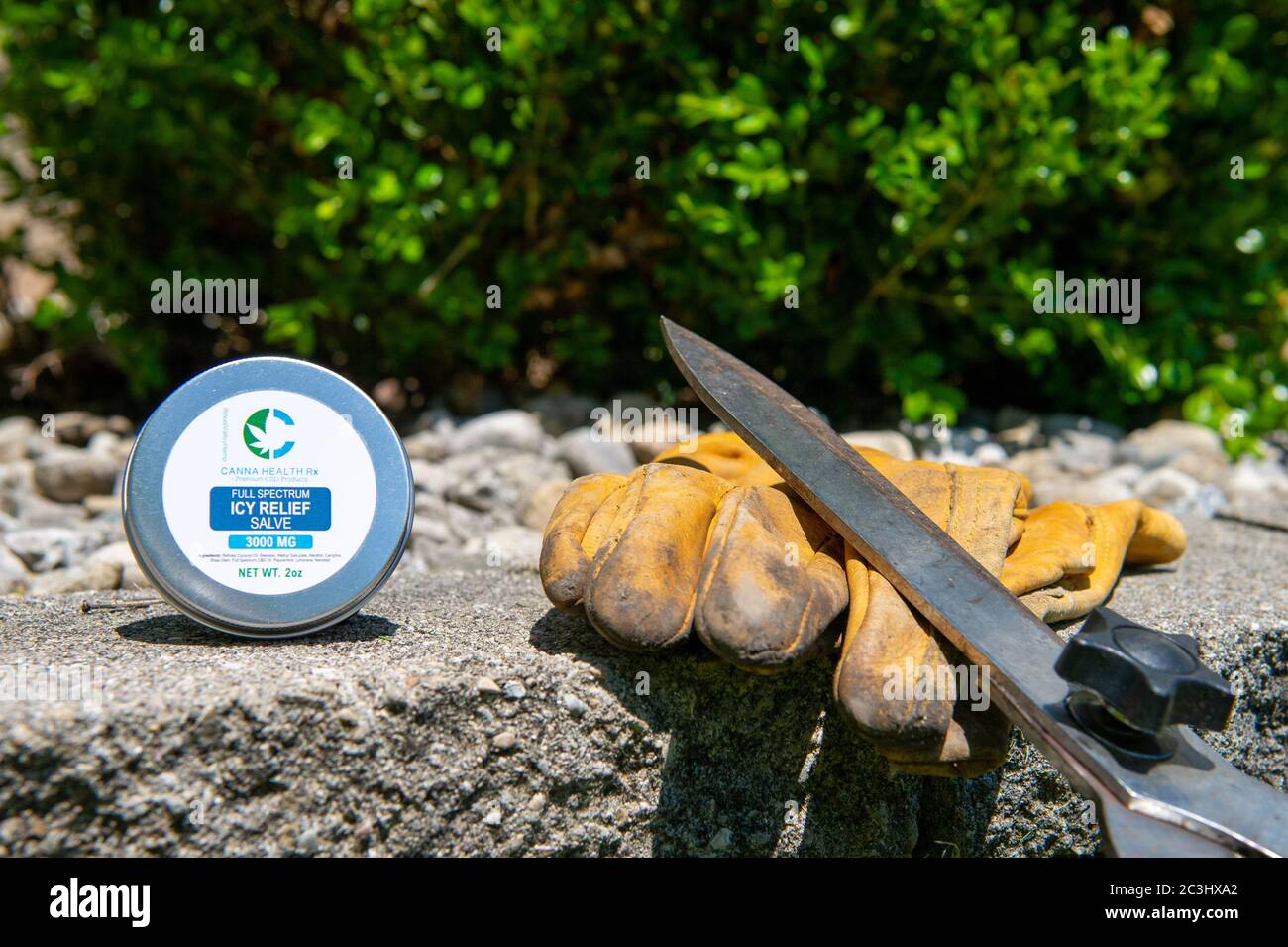 CBD Hemp Medical Marijuana Stock Photo - Alamy