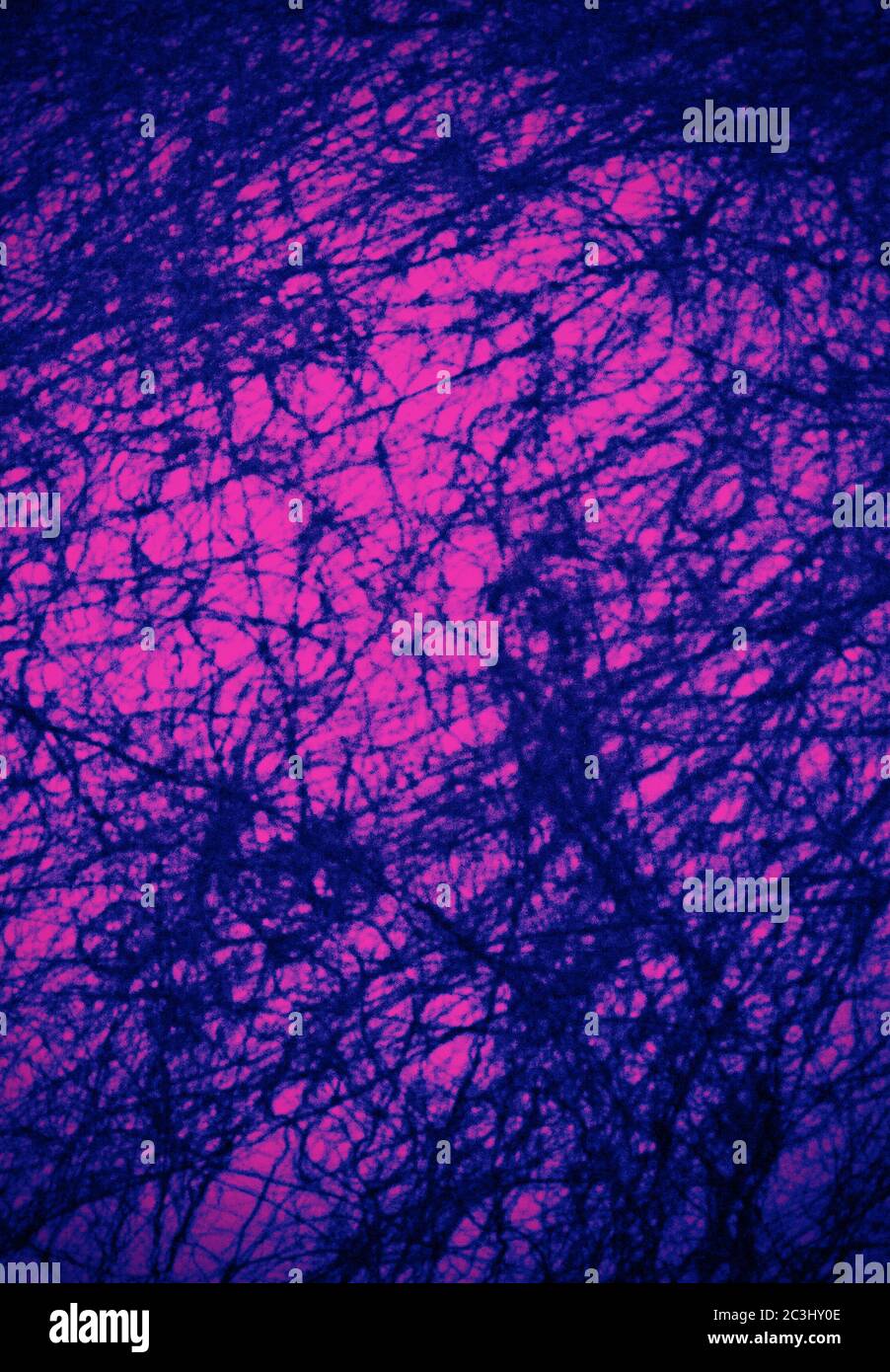 mauve background texture for graphic design Stock Photo - Alamy