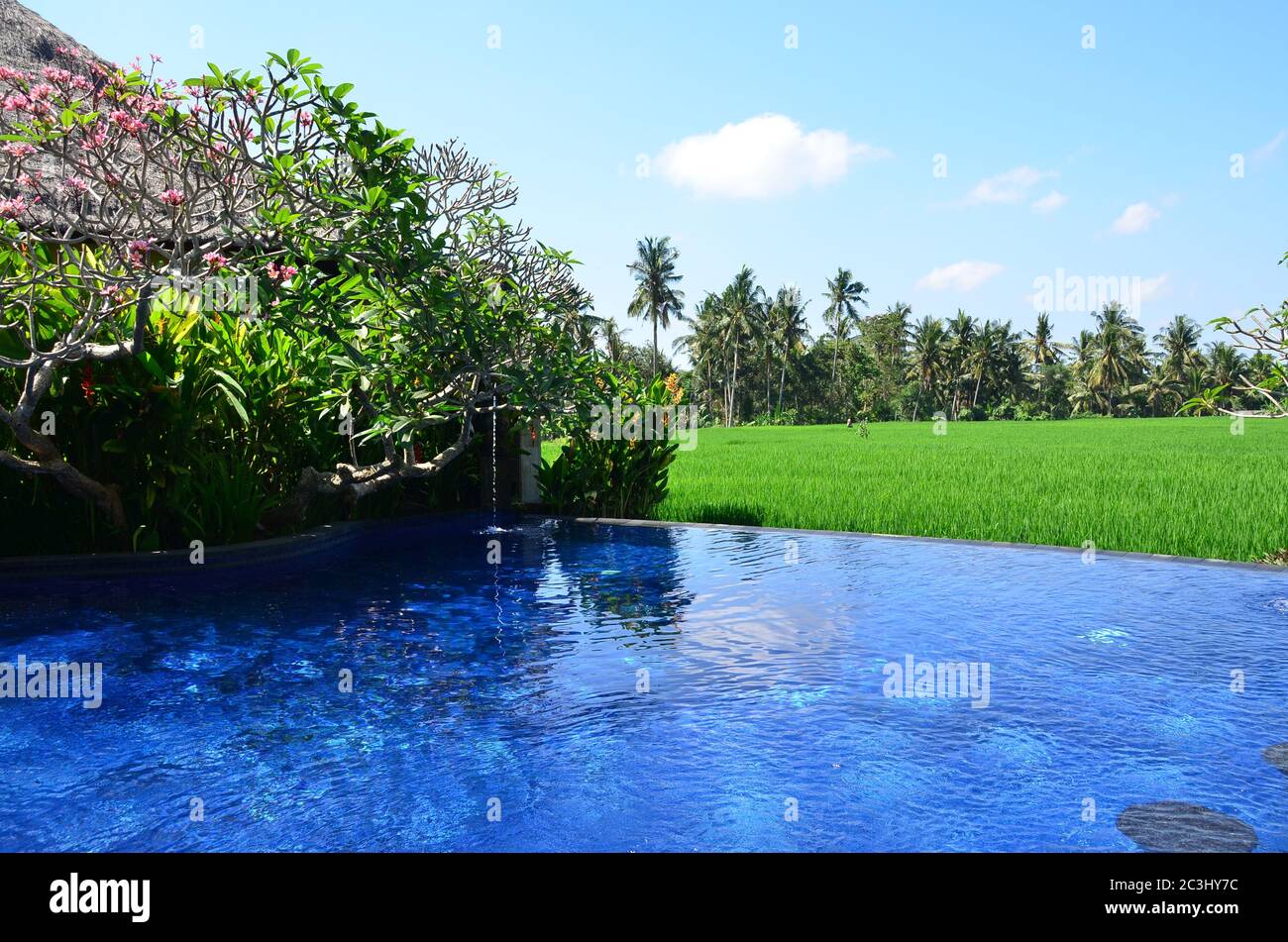 Swimming pool and bar area that facing paddy field at Bali, Indonesia ...