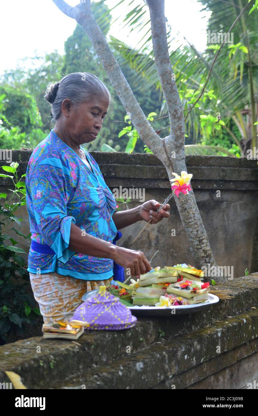 Balinese woman making the offering flower with fresh tropical flowers ...