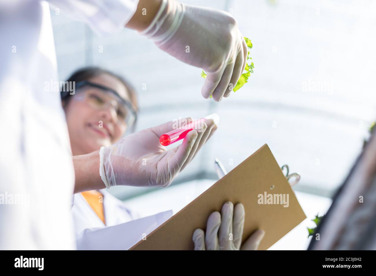Scientists test the solution, Chemical inspection, Check freshness at ...