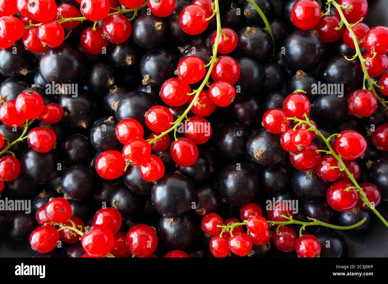 Background of black and red currants. Fresh berries closeup. Top view ...