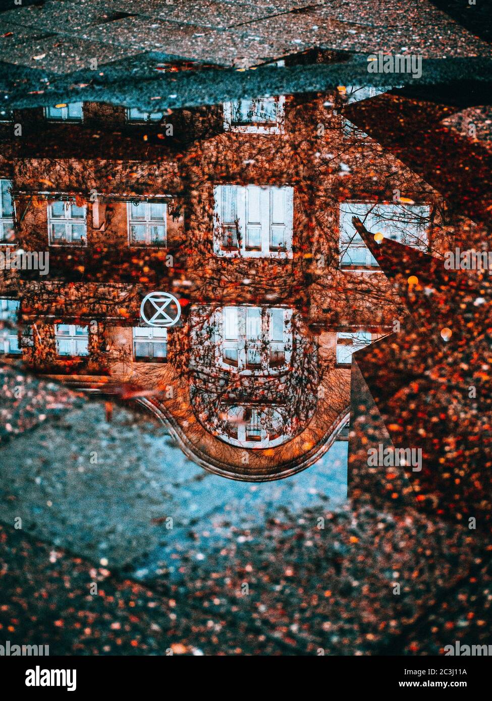 Closeup shot of a water paddle with an old building reflection Stock ...