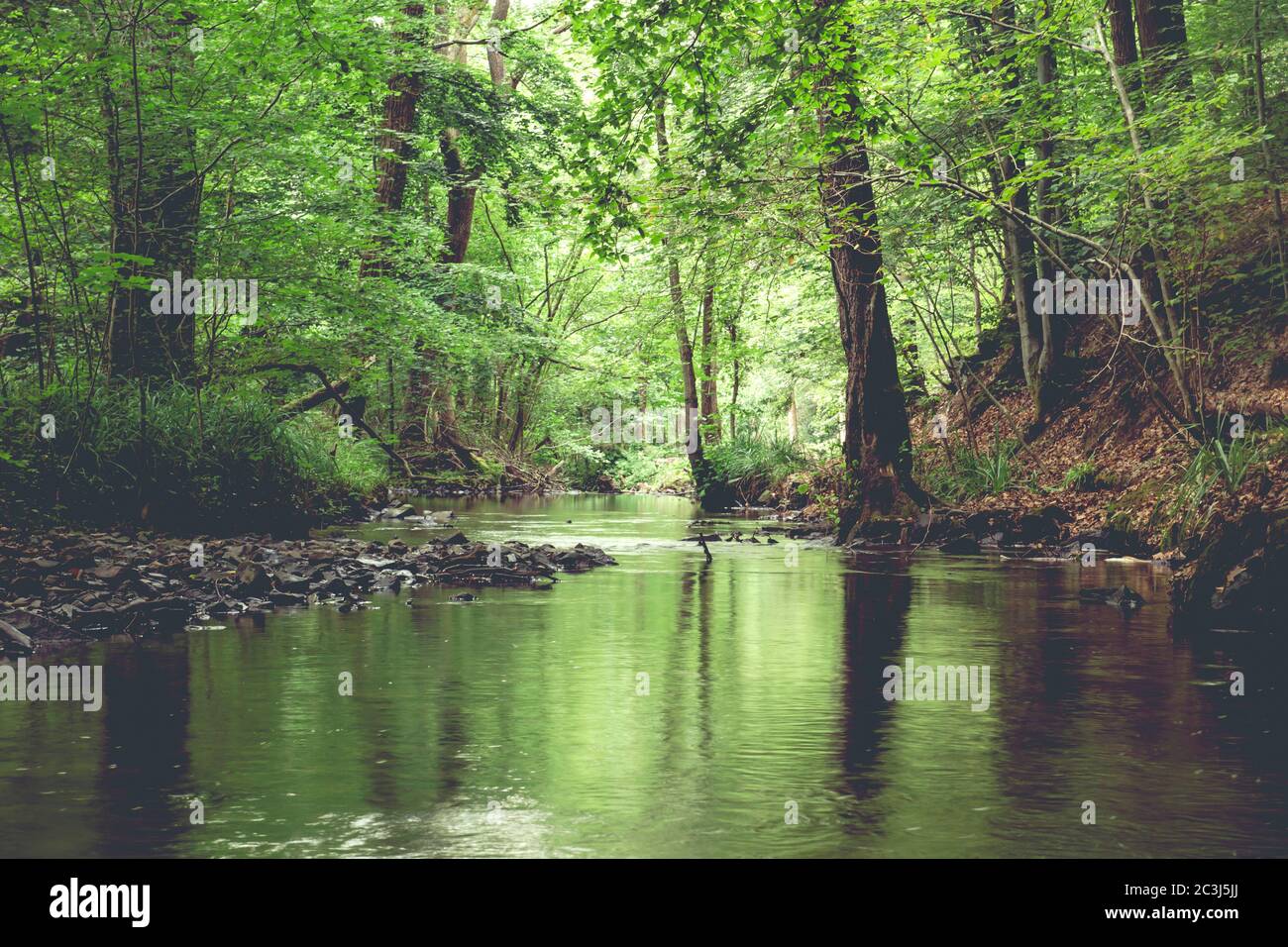 Planet Crossing High Resolution Stock Photography and Images - Alamy