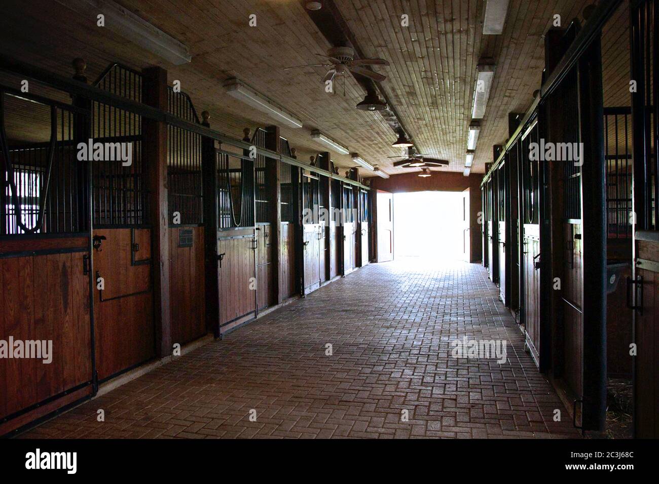 Stallion mating hi-res stock photography and images - Alamy