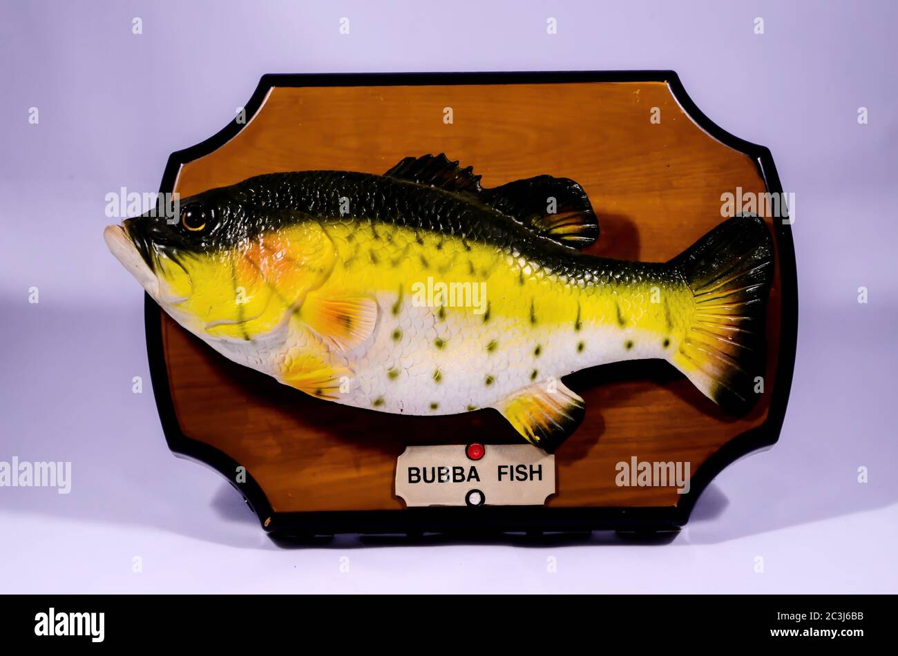 Wooden Bass Fish Trophy on a White Background Stock Photo - Alamy