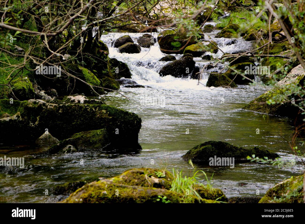 View of moss covered boulders in the fast flowing mountain River Ason ...