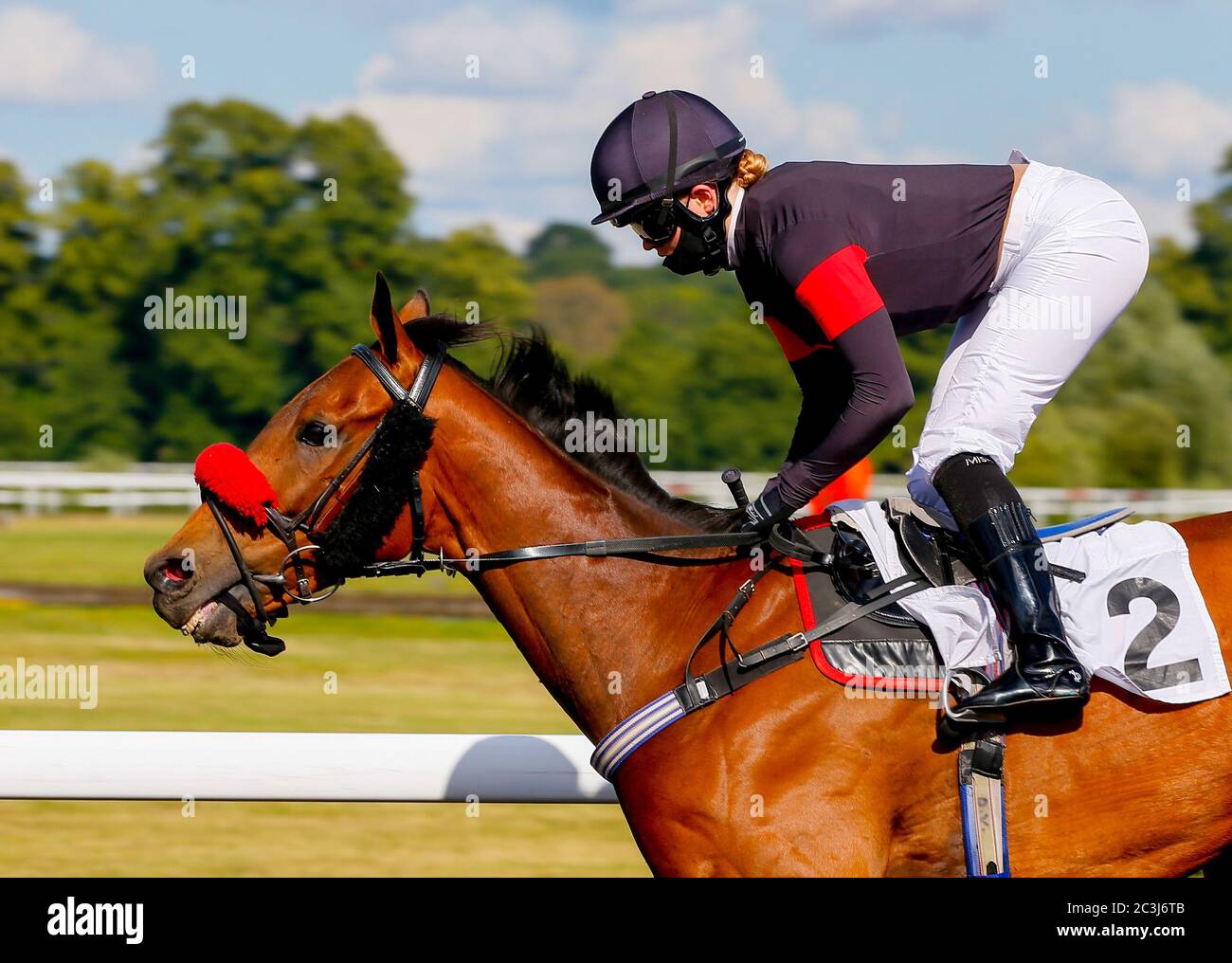 Grace mcentee hi-res stock photography and images - Alamy