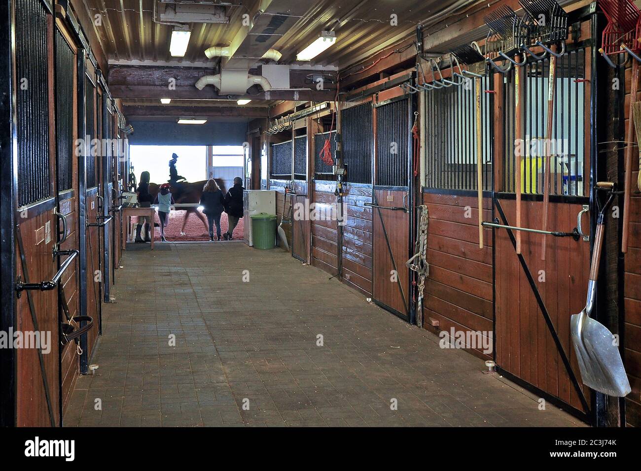 Man walking horse rear view hi-res stock photography and images - Alamy
