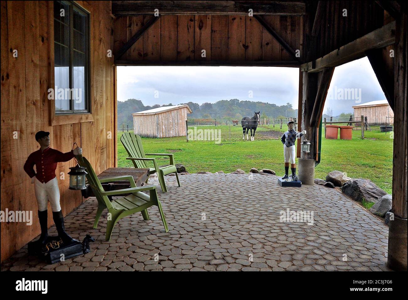 Horse mating hi-res stock photography and images - Alamy