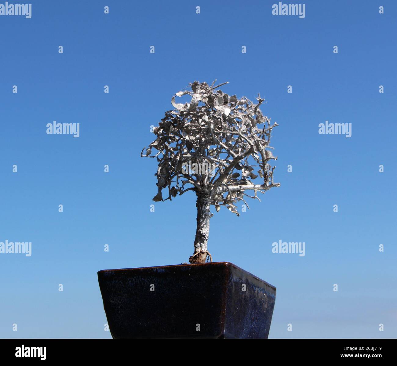 Photo of a Bonsai tree spray painted silver against a clear blue sky ...
