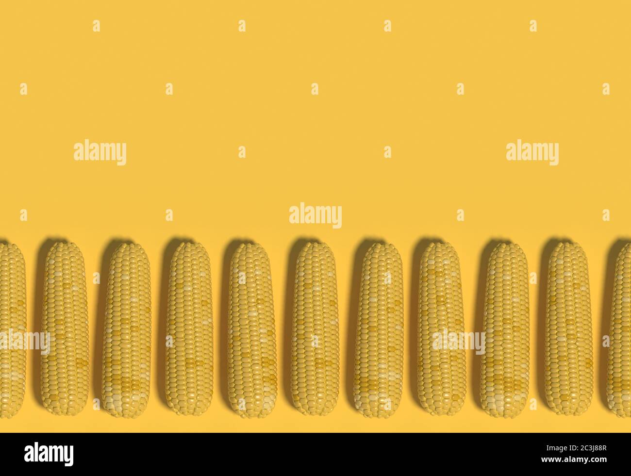 Many yellow corn cobs lie in a row on a yellow background. Creative ...