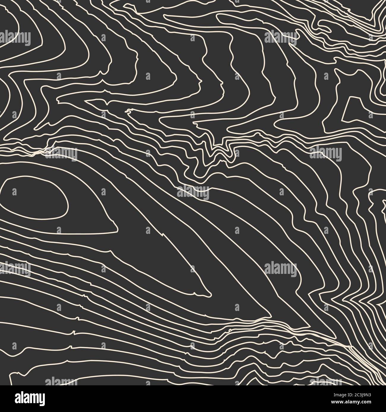 Vector Mountain Trail Map