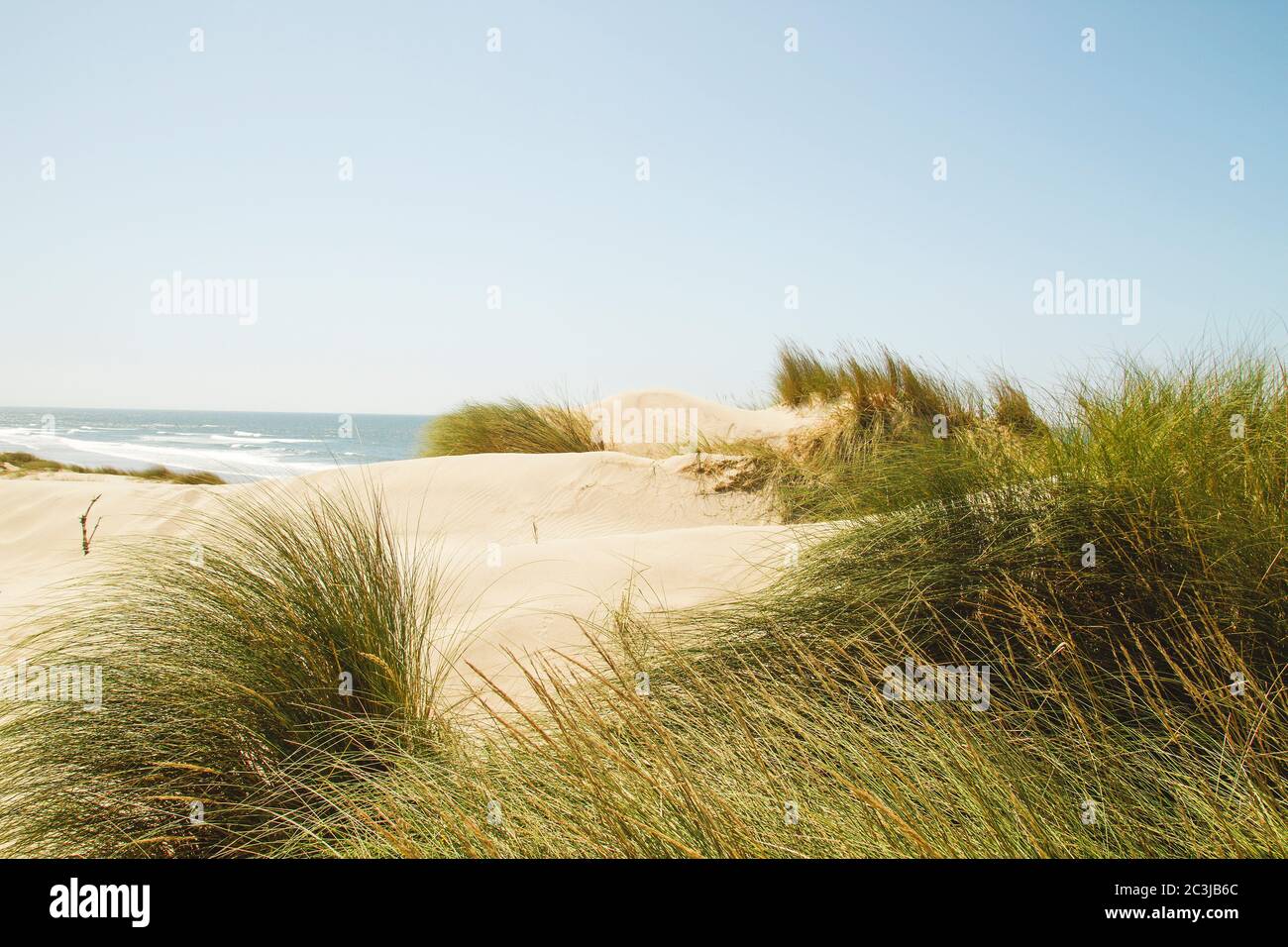 Sand dunes in the coast Stock Photo - Alamy