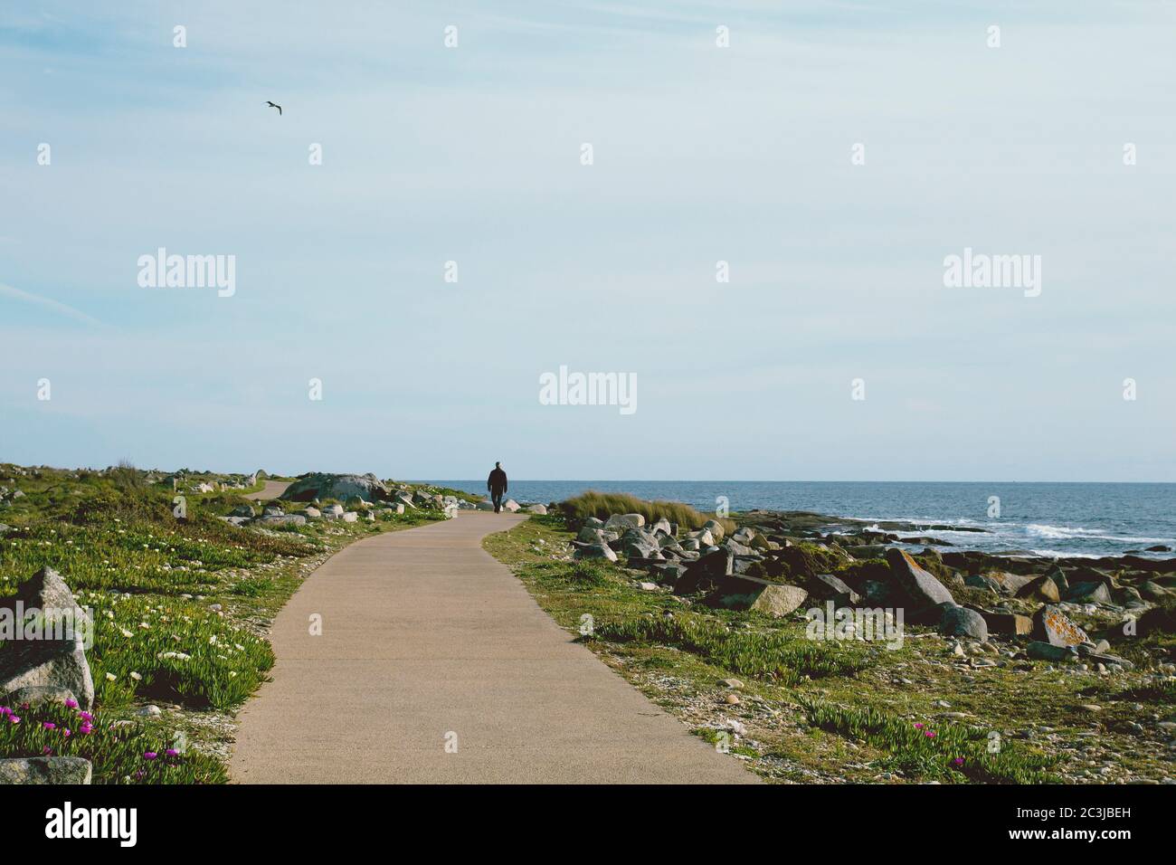 Man on a walkway hi-res stock photography and images - Alamy