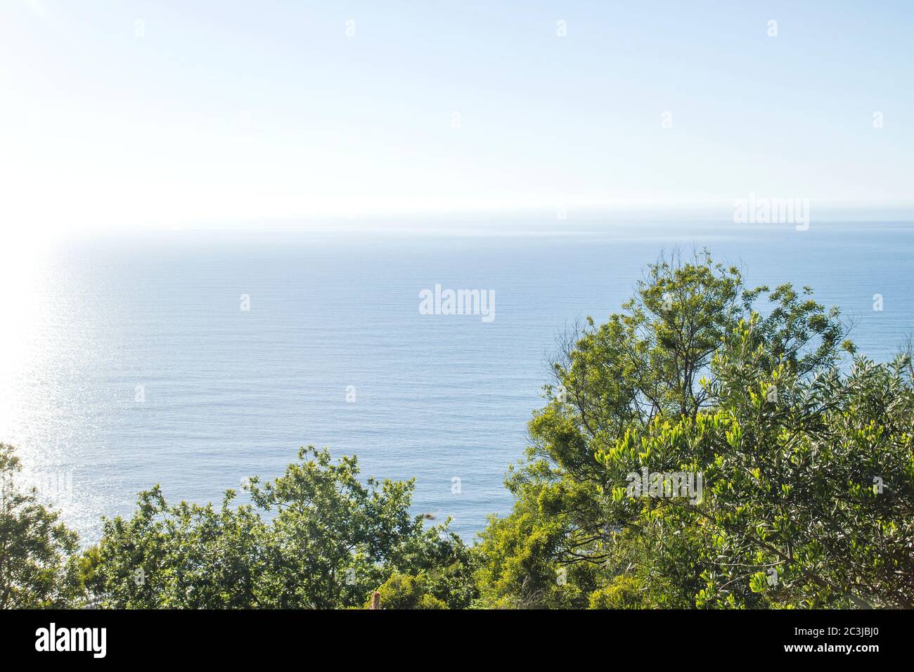 Green trees and blue sea Stock Photo - Alamy