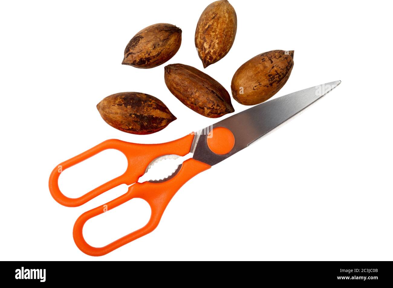 Some pecan nuts and kitchen scissors with nutcracker isolated on white ...