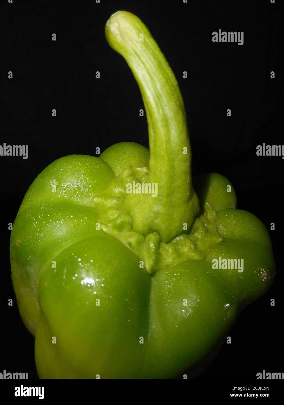 Black capsicum hi-res stock photography and images - Alamy