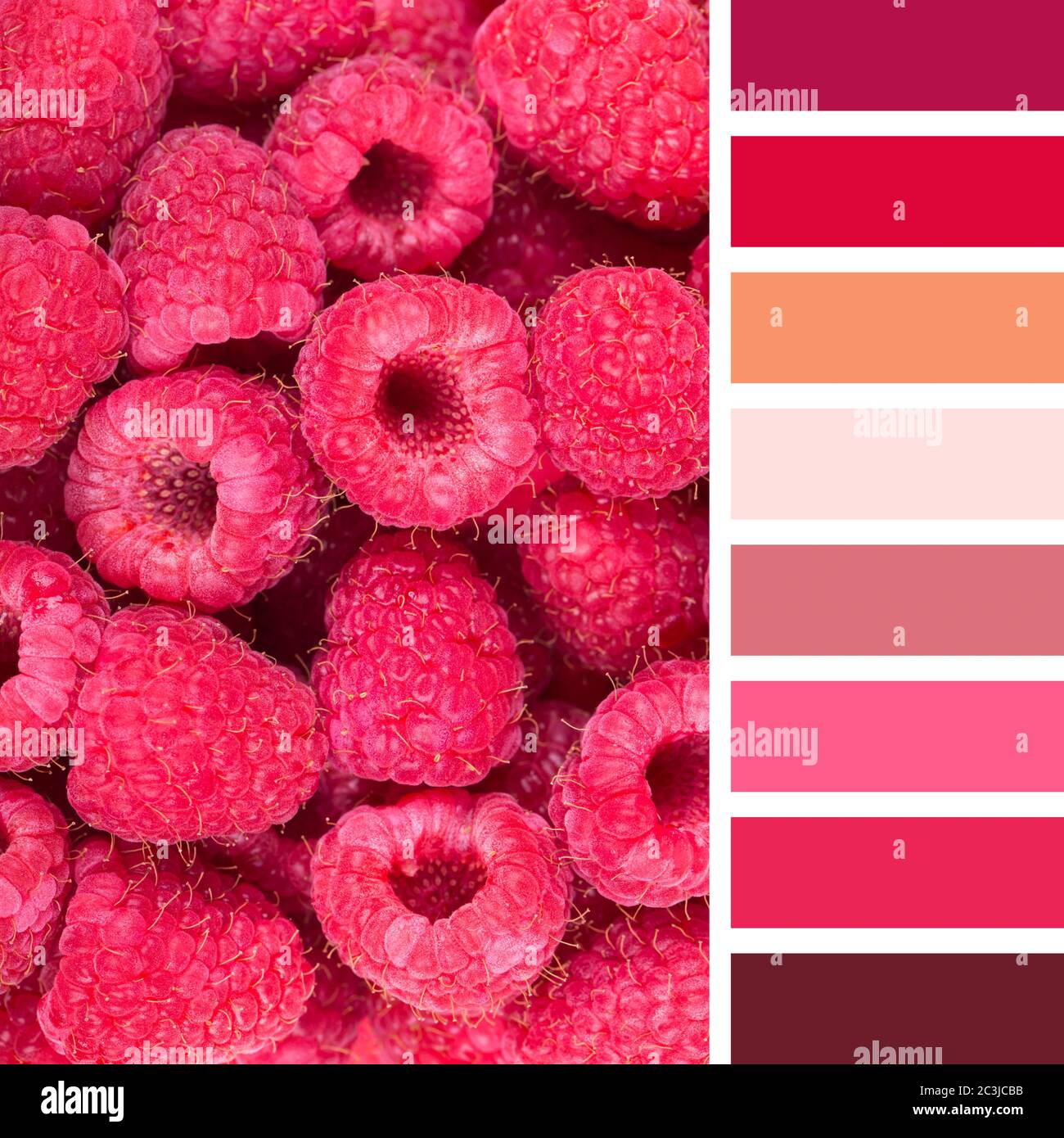 Raspberry Color Background