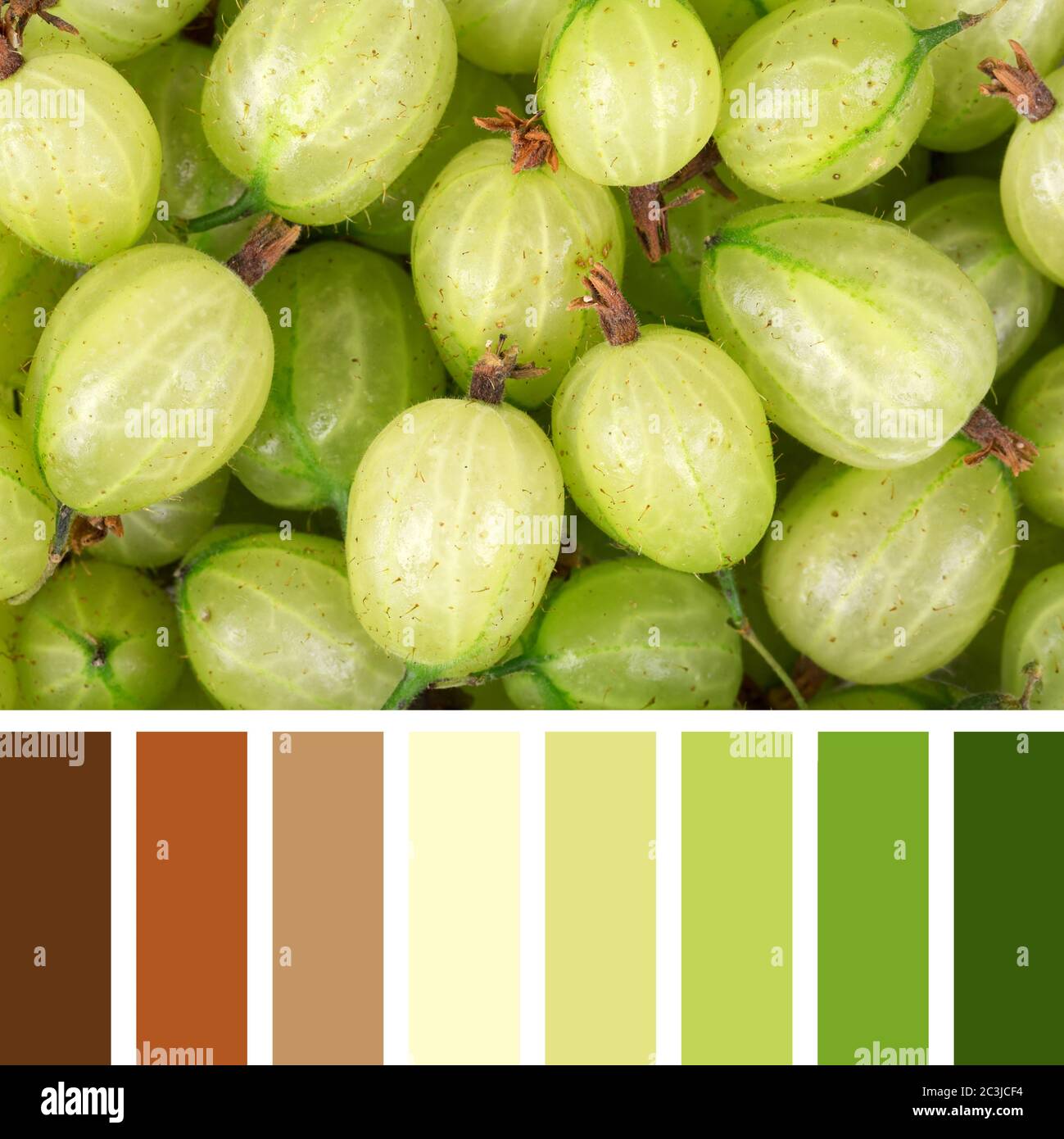 Seasonal fruit chart hi-res stock photography and images - Alamy