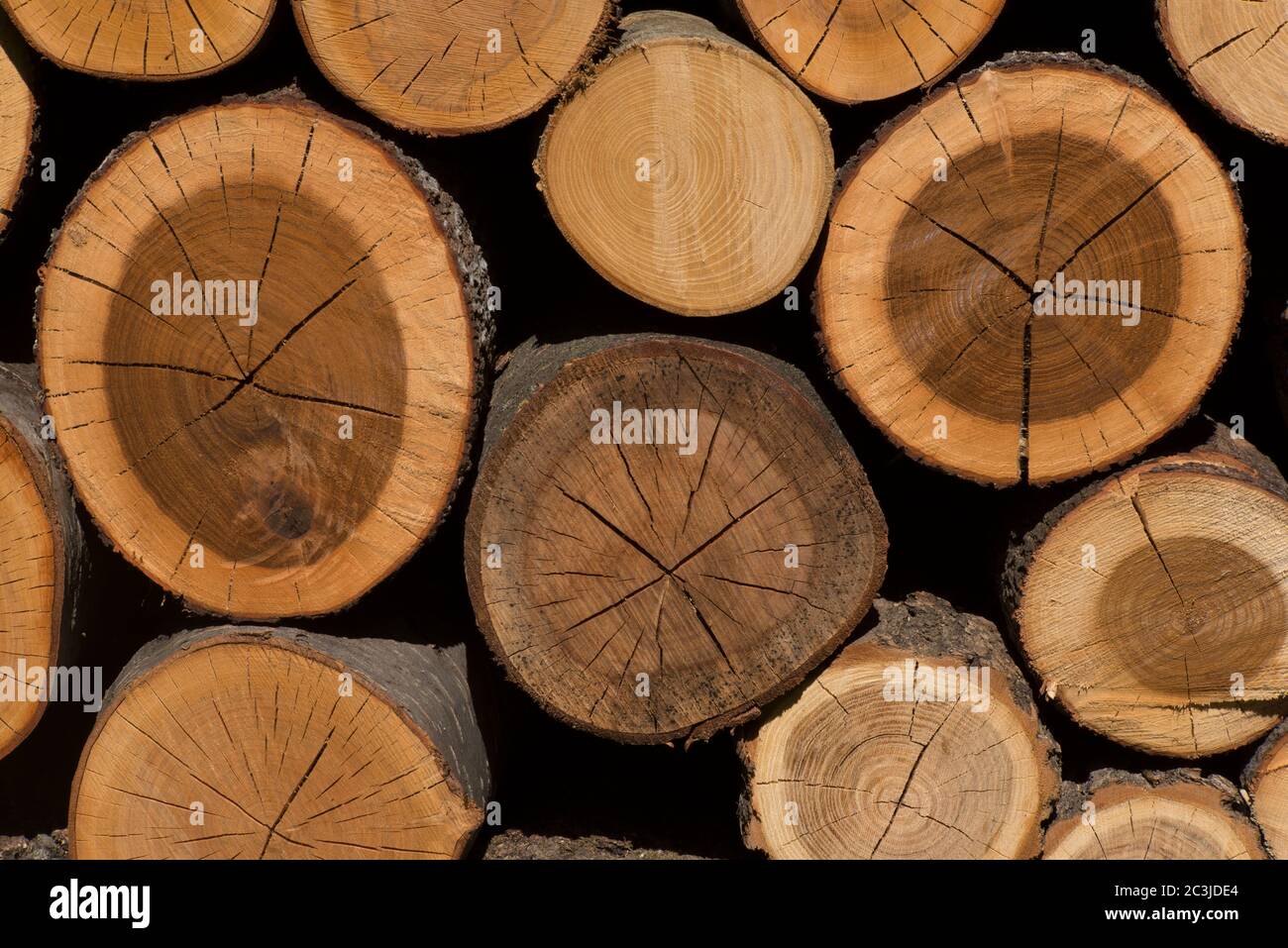 Pile of Wood, Wood Stack,Italy Stock Photo - Alamy